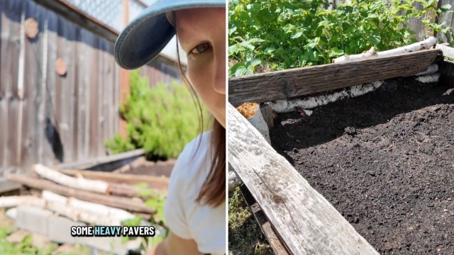 Gardener gets creative with backyard logs to save rotten raised bed for ...