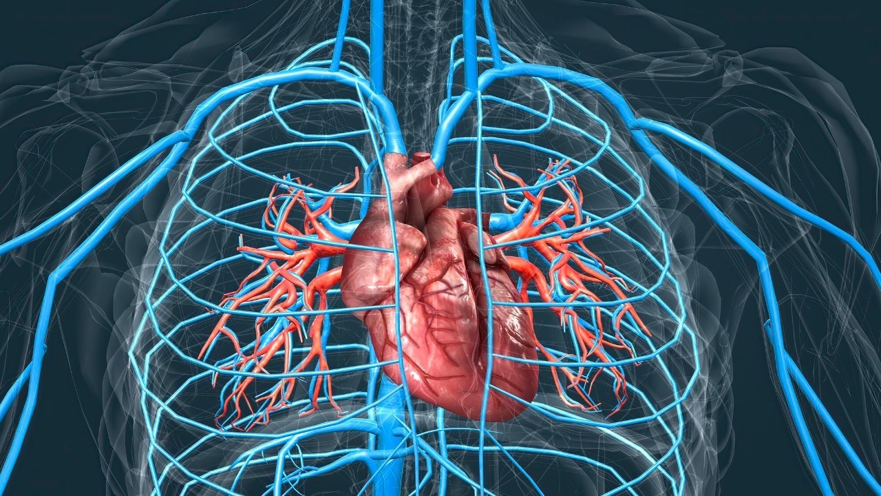 Your heart beats about 100,000 times every single day