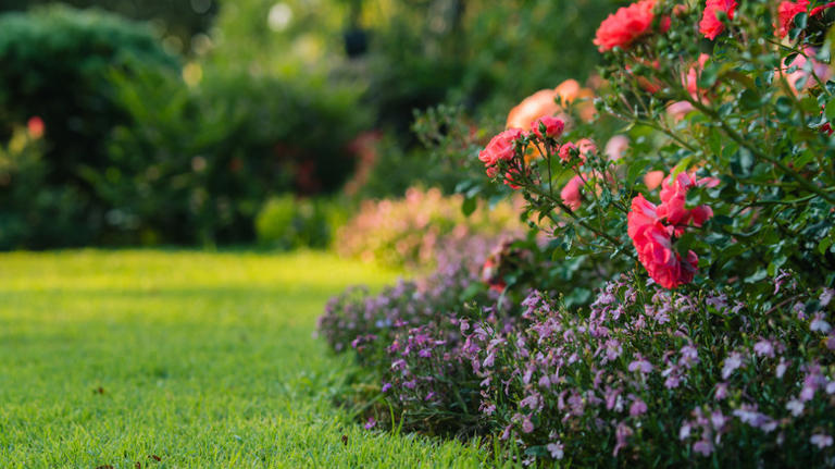 Ditch flowers: Here's a more creative way to infuse color into your ...