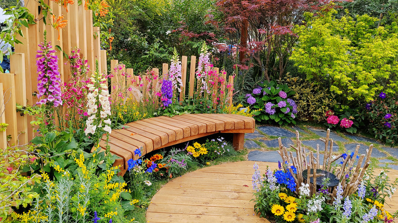 18 garden flowers that will have summer beds bursting with color