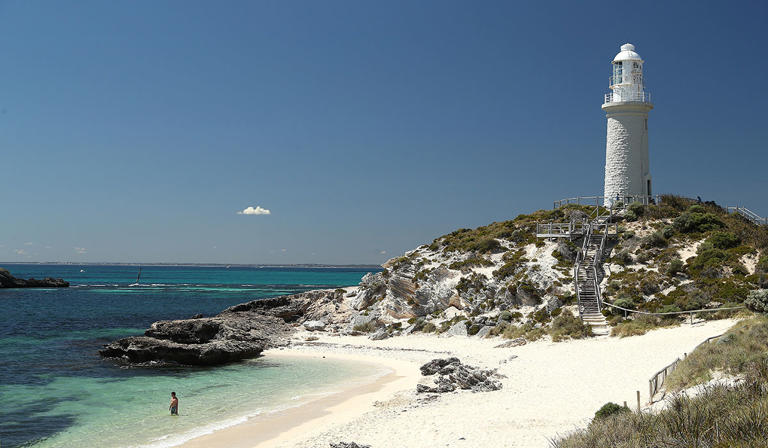 Shark terror: 15ft predator kills young diver as locals warn of surge ...