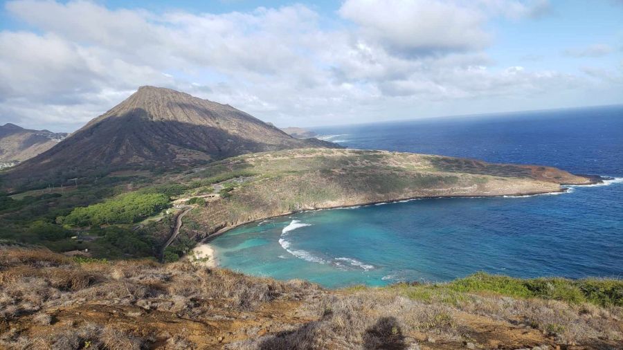 Hanauma Bay beach closed following marine mammal death