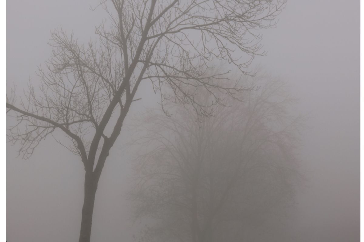 Weather: Fog patches expected in the morning and evening