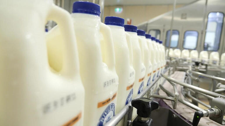 New technology developed in Canberra could prevent 70 million tonnes of ...