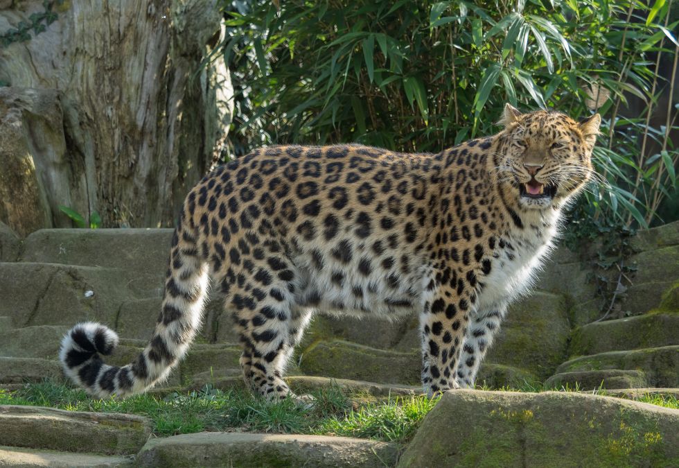 20 of the most unbelievably rare things on the planet