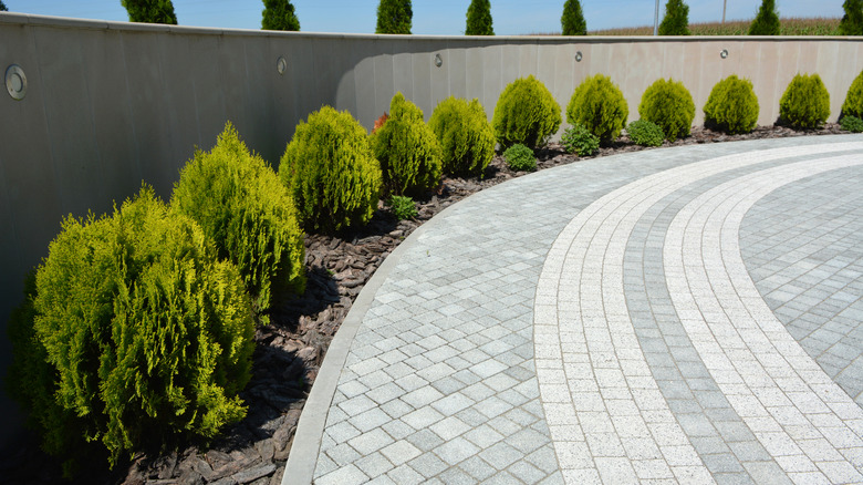 Not bricks, not pavers: The durable driveway edging idea that upgrades ...