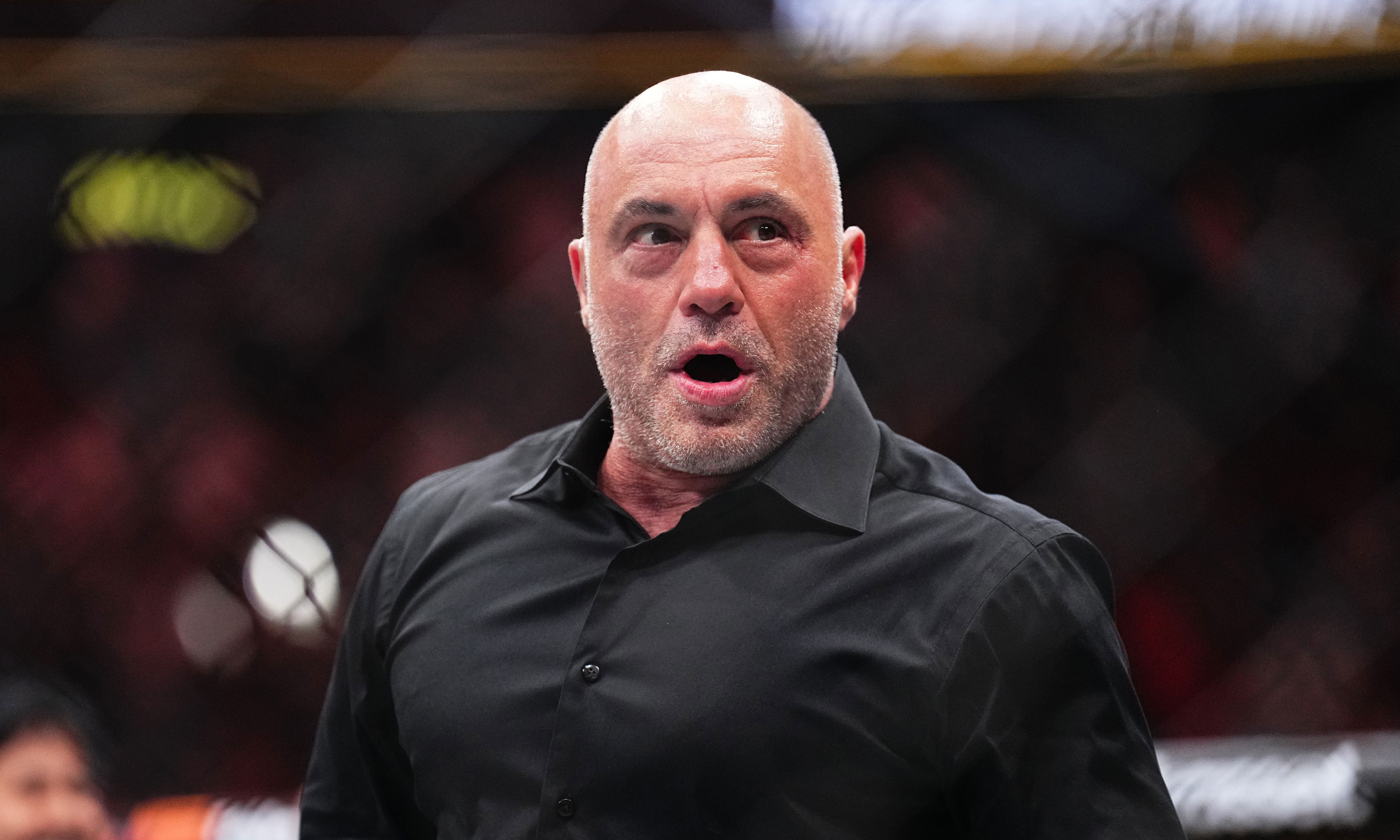 Look at your forearm! Joe Rogan shocked after legendary arm wrestler ...