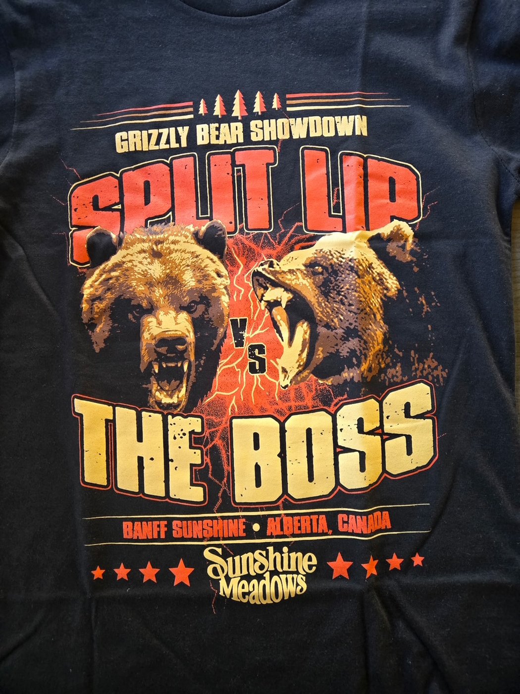 Legendary grizzly bear 'The Boss' removes tracking collar at Banff ...