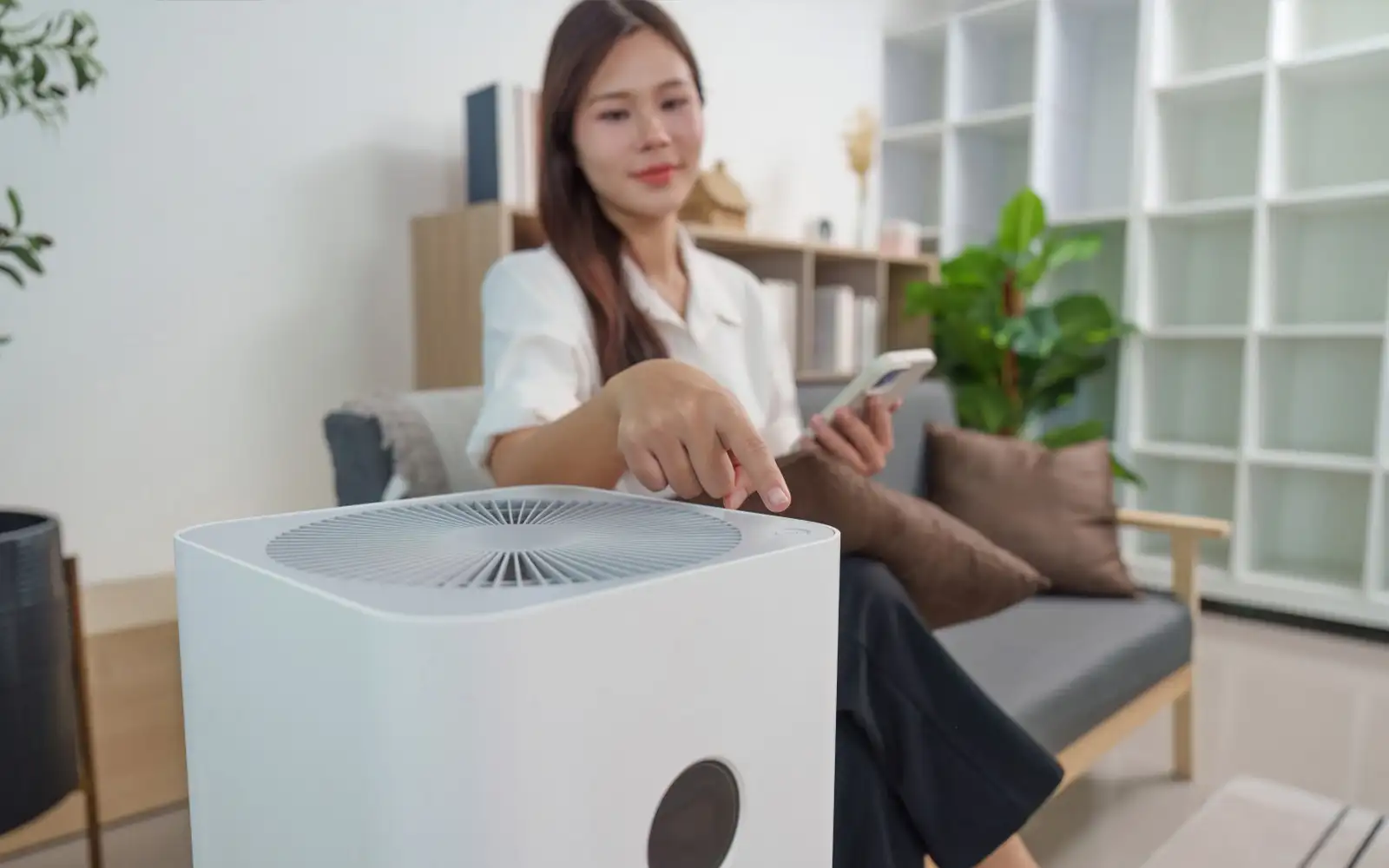 Homes, health, humidity: The invisible issue affecting wellbeing