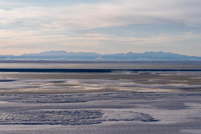 Limited interest in latest oil and gas lease sale for Alaska's Arctic ...