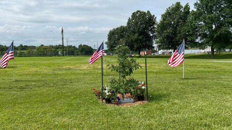 Blue Star Memorial re-dedicated ceremony, Liberty Tree planted in ...