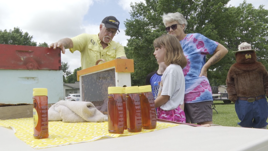Girard Library’s Conservation Day: Environment, outdoors