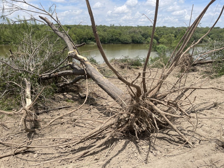 Residents 'not happy' with bulldozing of land for border wall