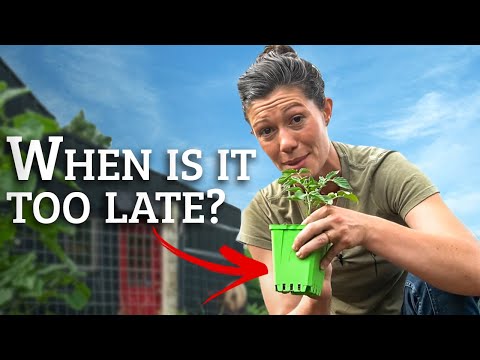 I found the best mid-summer plants! 🌱