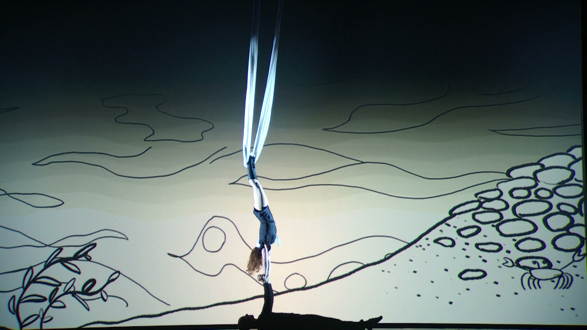 Aerial animation - Aerialist