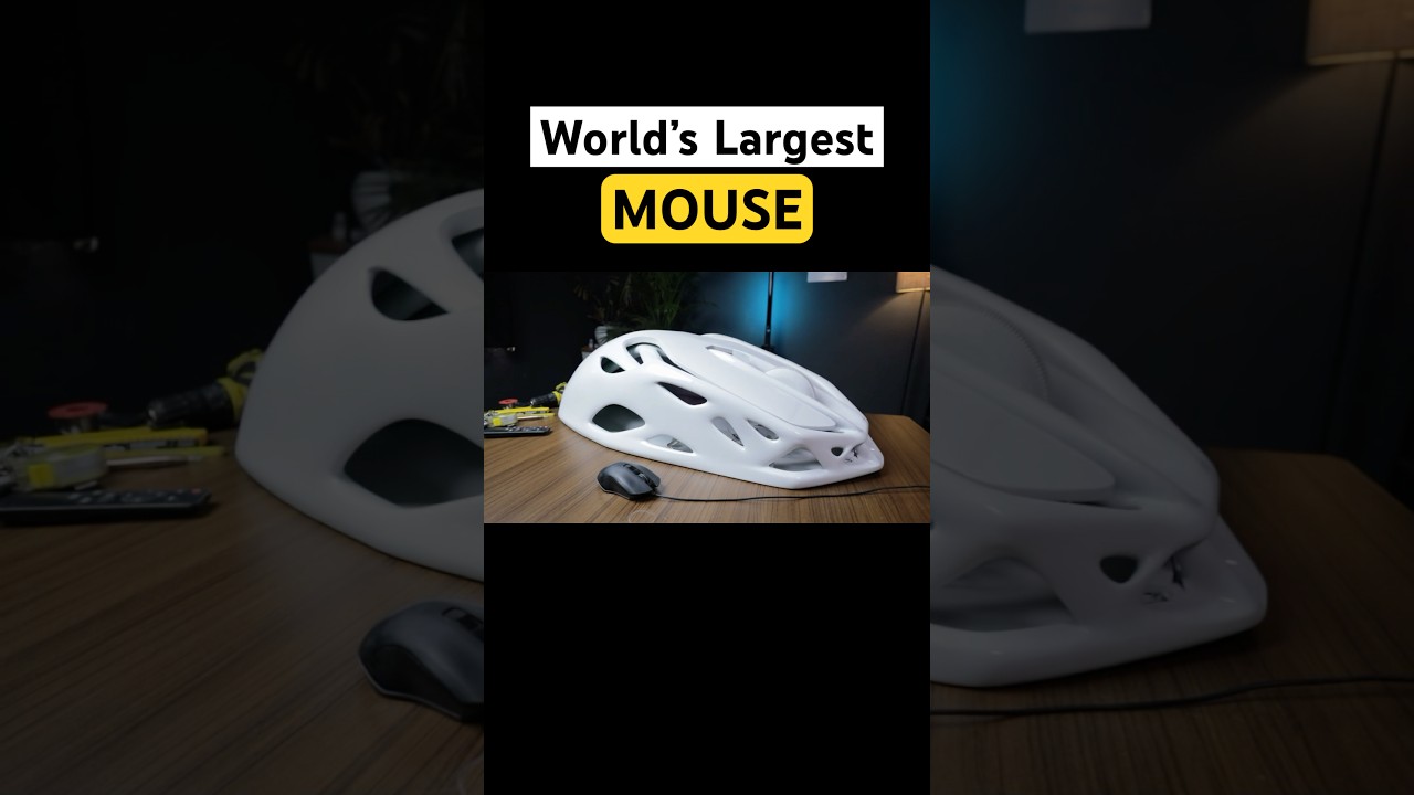 World’s biggest mouse that works! #shorts