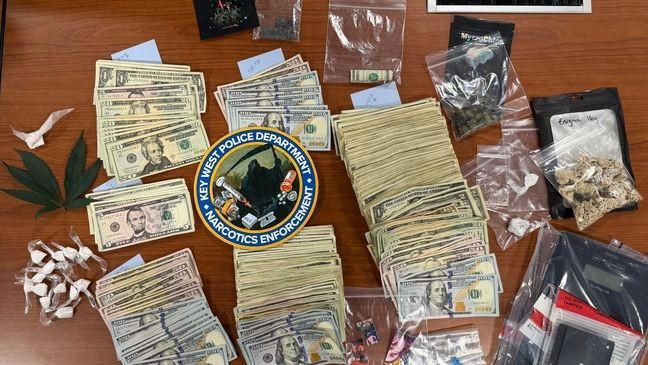 Multi-agency Key West drug bust bets cocaine, LSD, marijuana plants; 2 ...