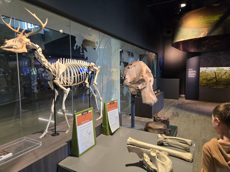 This underrated planetarium in Minnesota will take you on an ...