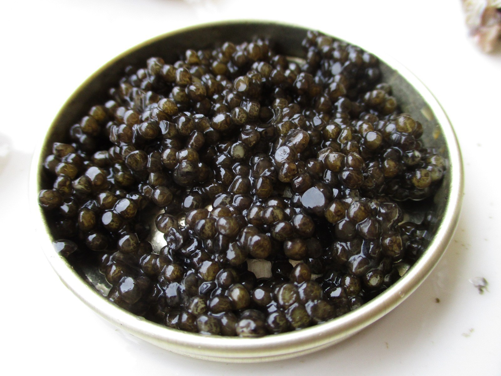 Global caviar trade: Who dominates exports today?