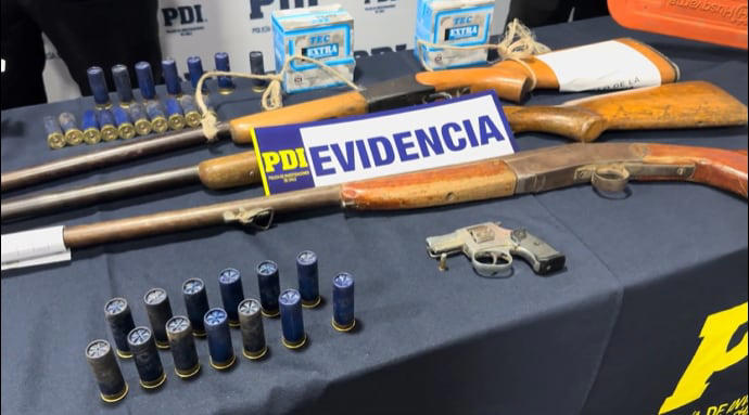 PDI desarticula asociación delictiva dedicada al robo de madera en ...