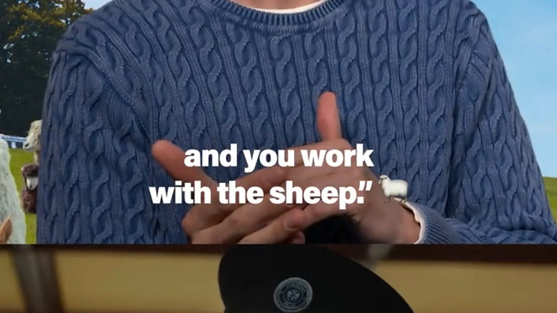 Hear me out: Nicholas Braun on the wild pitch for The Sheep Detectives