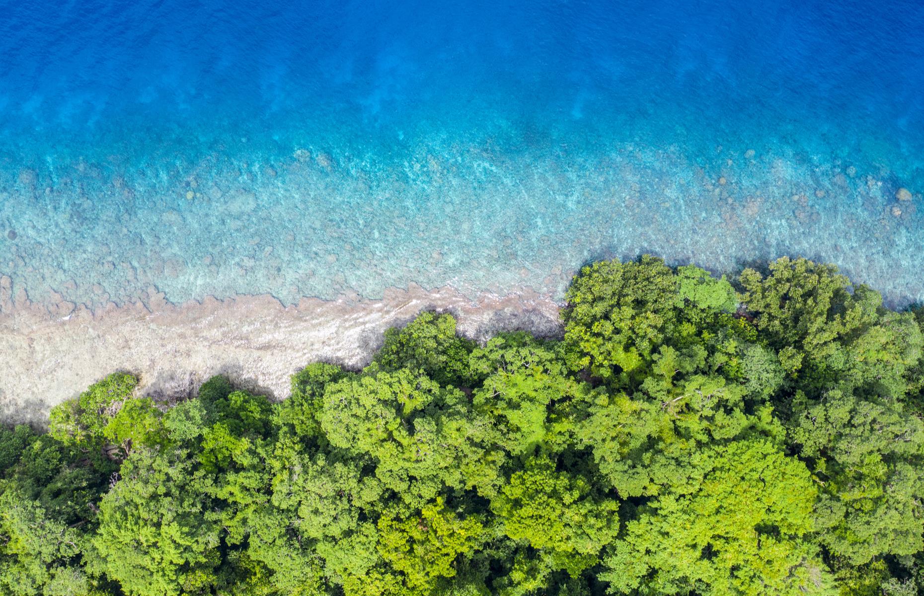 The world's most beautiful rainforests under threat of disappearing