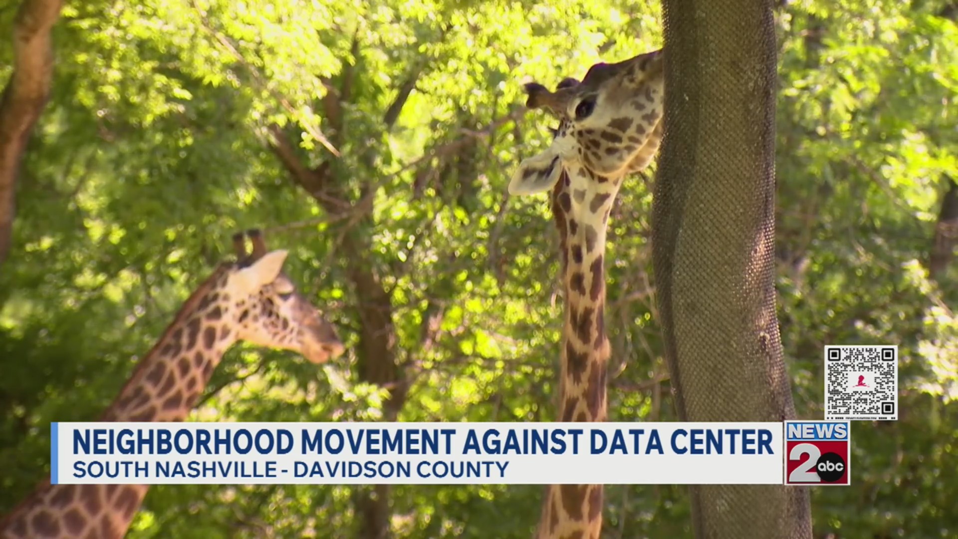 Community member launches grassroots campaign against proposed data ...