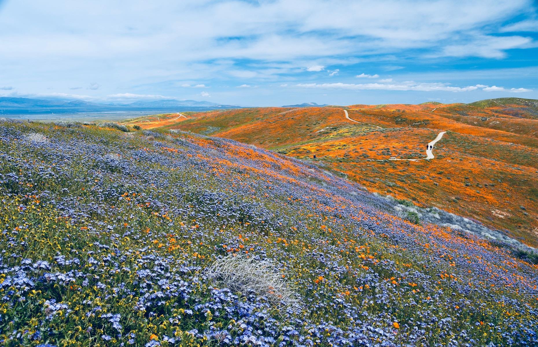 Which Australian natural wonders made our list of the world's most ...