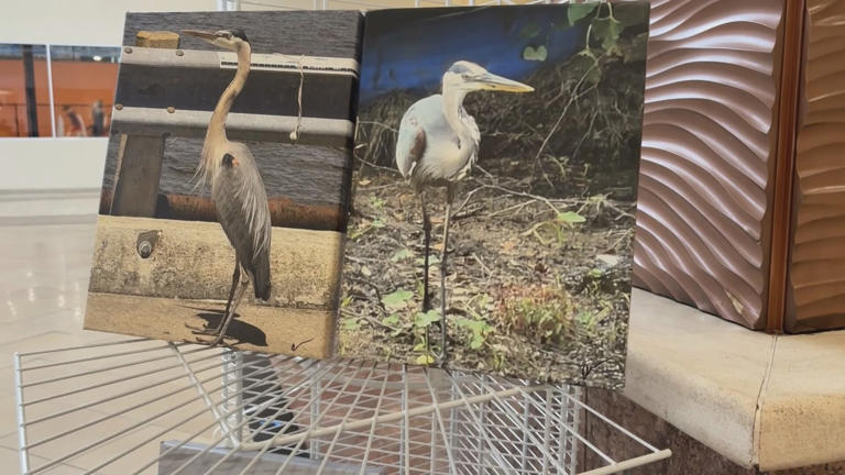 Gulf Coast Artists Unlimited hosts summer craft show at Edgewater Mall