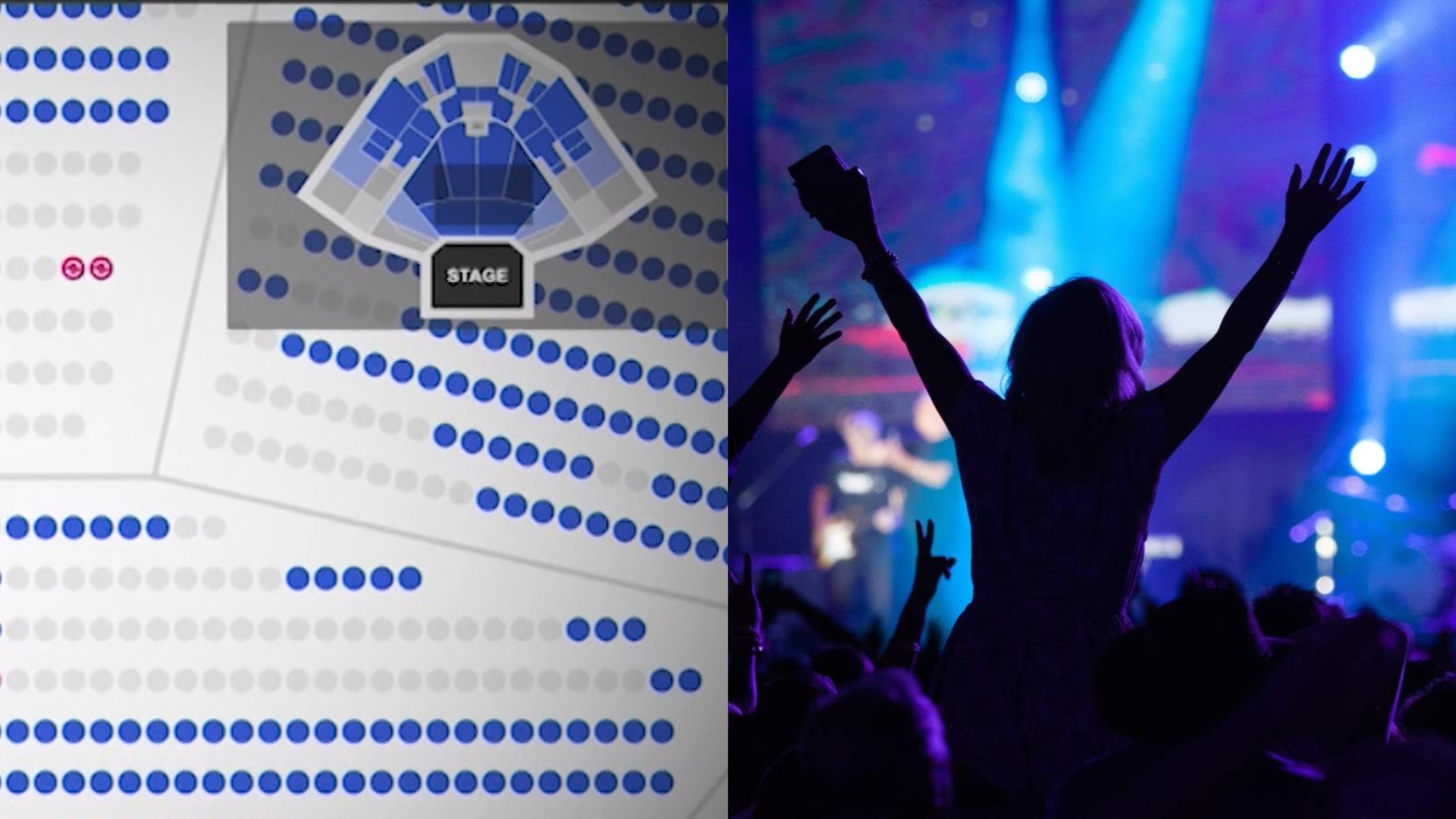 Social media points to 'blue dot fever' as tours are cancelled or delayed