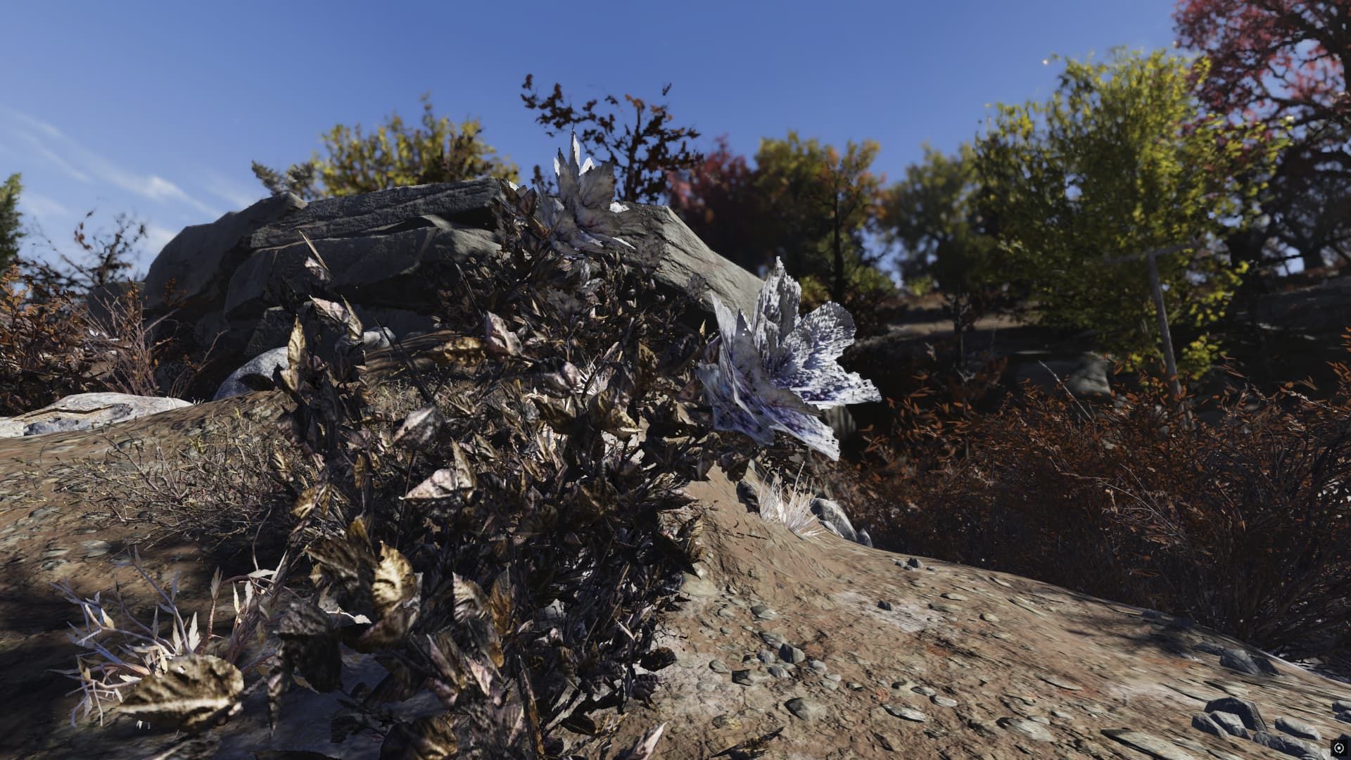 Where to find toxic soot flowers in Fallout 76