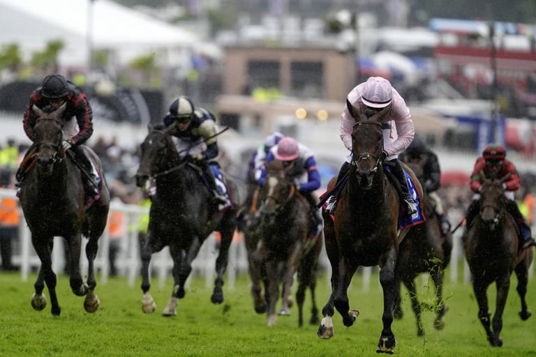 Builder miraculously wins Epsom Derby bet after 'prophecy' tip from 62 ...