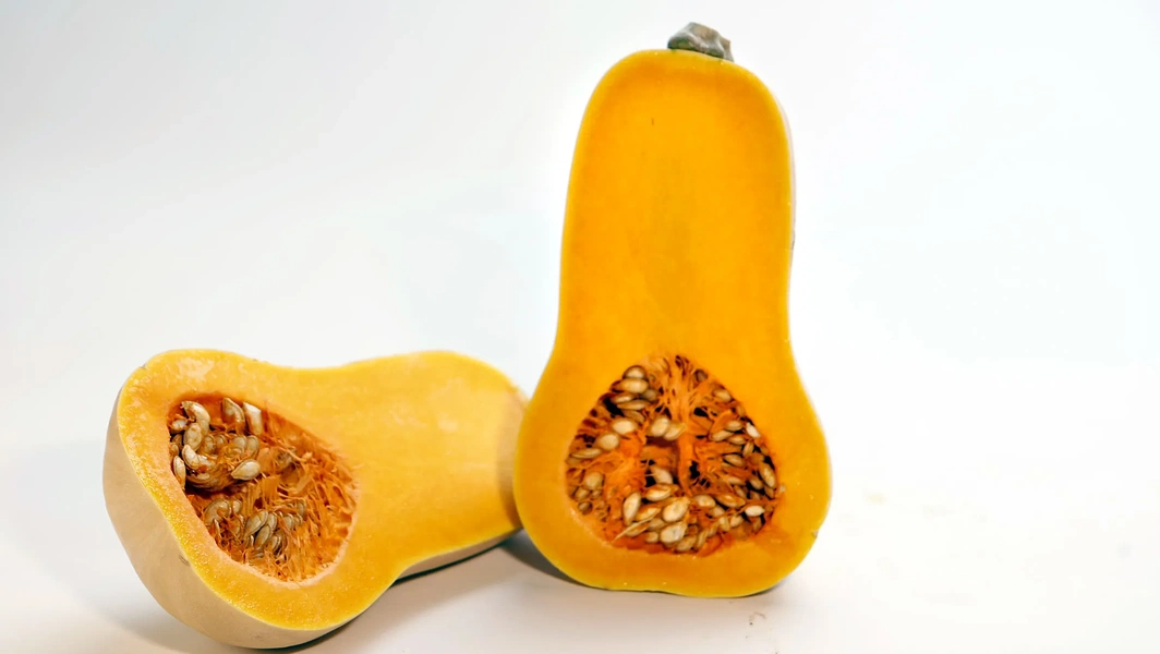 Cozy butternut squash ideas for chilly nights