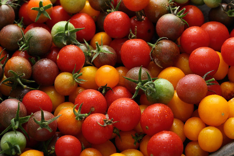 Quiz : êtes-vous vraiment incollable sur les tomates