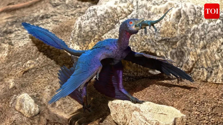 8 birds that look more like dinosaurs, reptiles, and even aliens