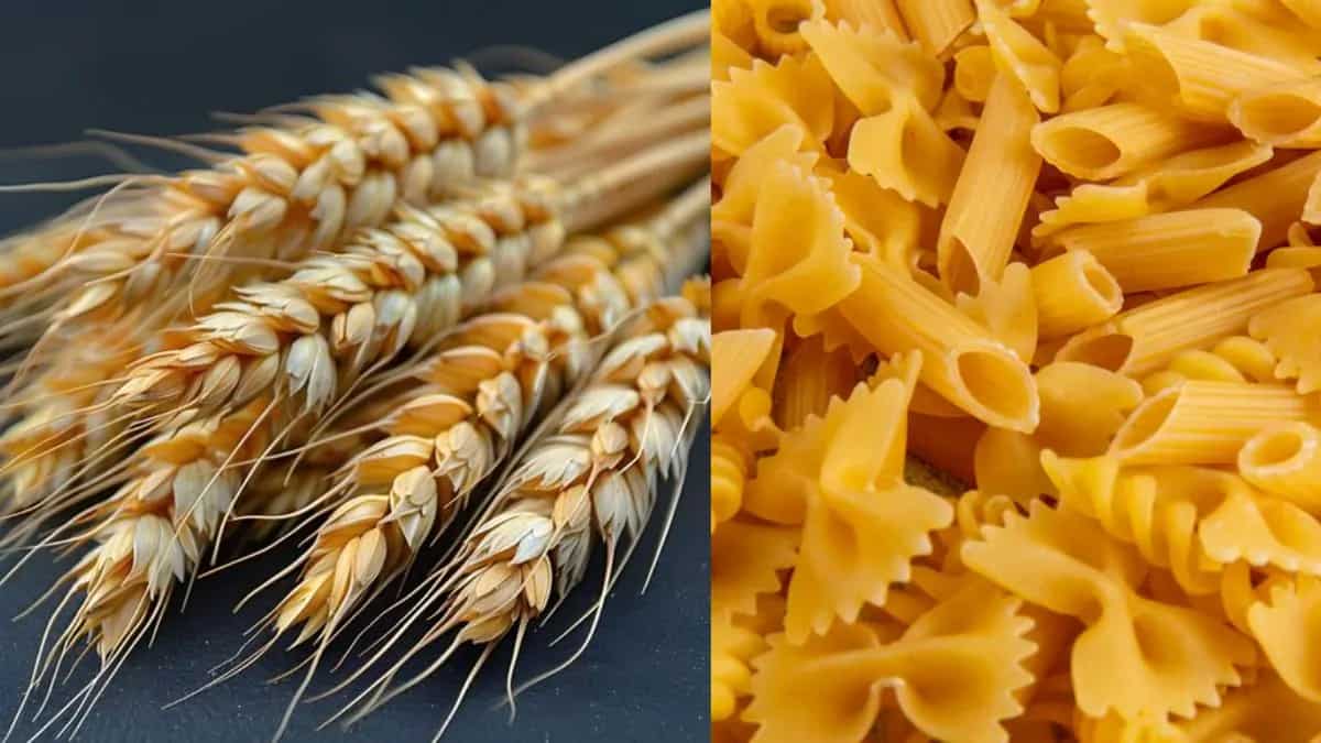 Does pasta contain maida? Understanding durum wheat