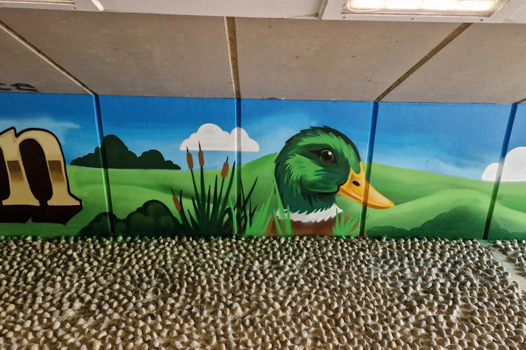 New mural to 'rejuvenate' Peterborough underpass takes shape