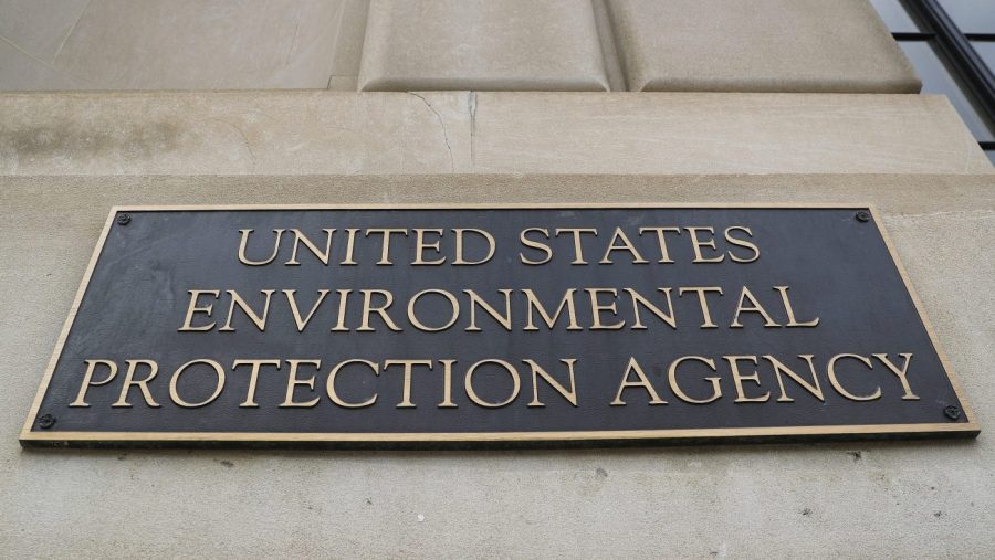 EPA unveils next steps to eliminate animal testing in US