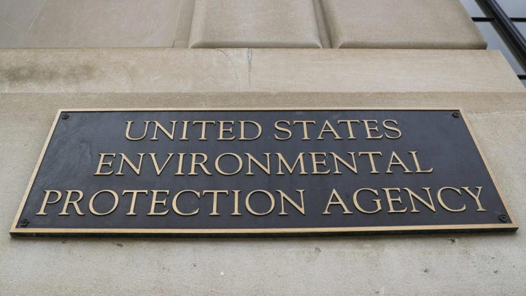 EPA unveils next steps to eliminate animal testing in US