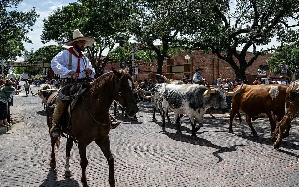 Step into Fort Worth’s living cowboy history