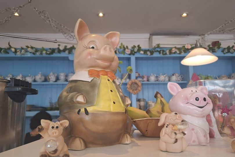 We visited the cafe with (probably) the biggest collection of pig ...