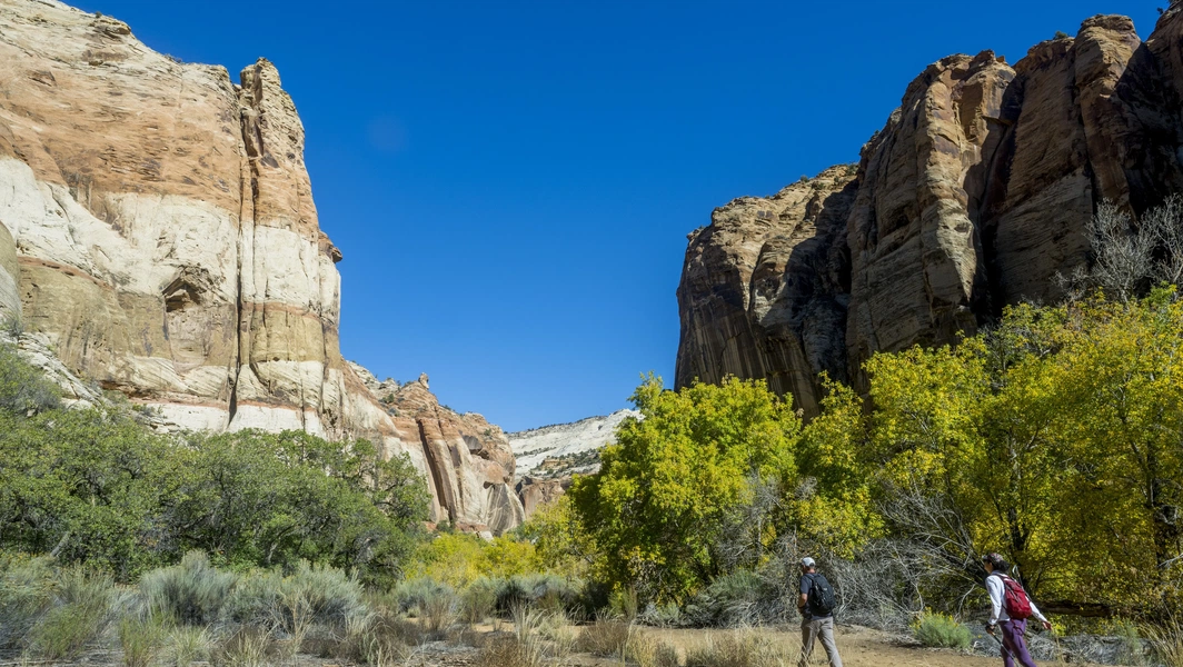 Find your perfect hiking trail match