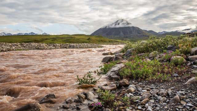 Arctic rivers are turning to rust as thawing permafrost unleashes toxic ...