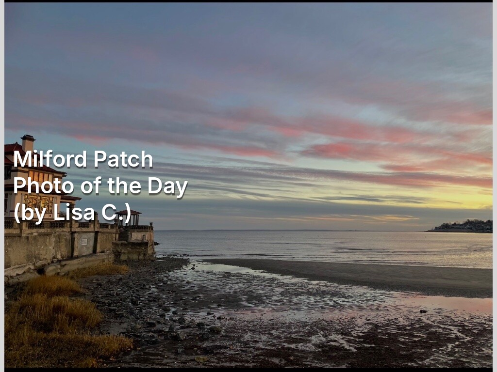 🌱 Patch AM: What Milford police now believe about the deadly Fort ...