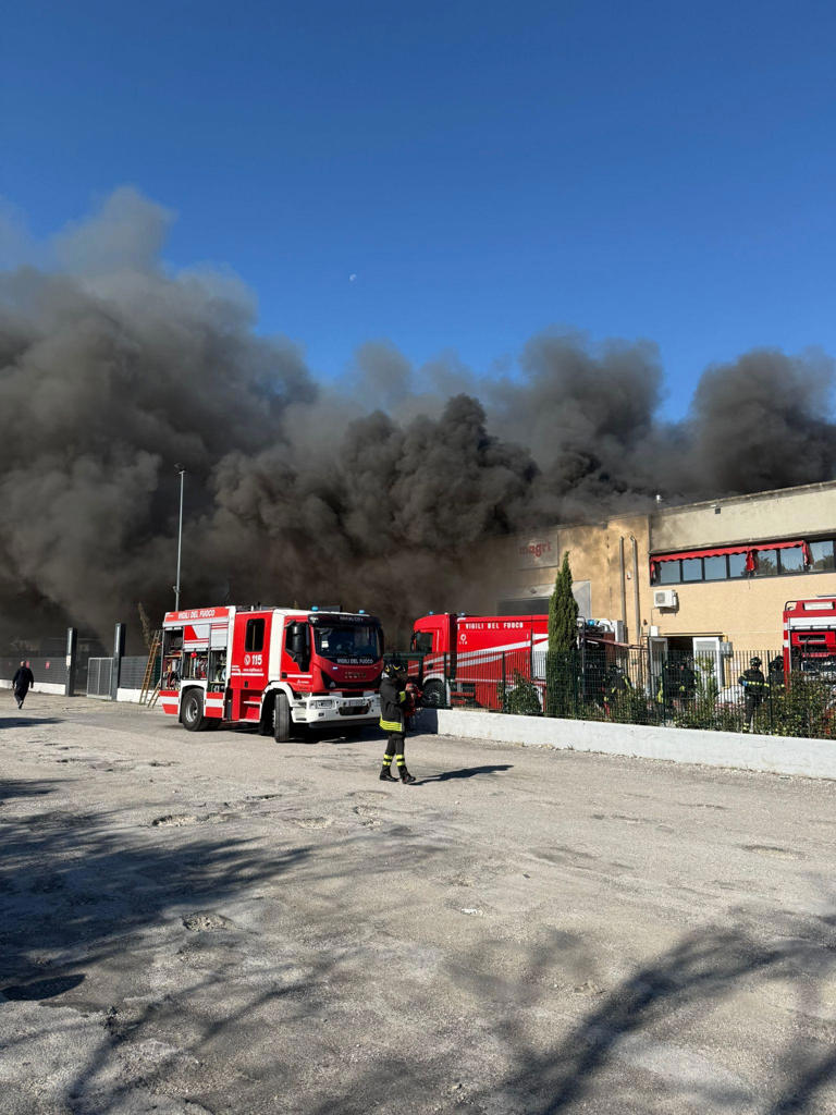 Grosso incendio in un’azienda che produce prosciutti cotti: colonna di ...