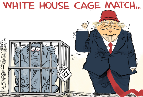 The latest political cartoons from Jeff Koterba