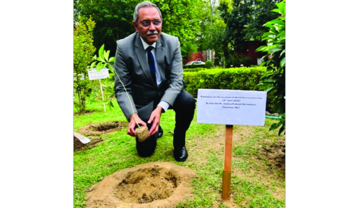 NGT chairperson Justice Prakash Srivastava leads plantation drive