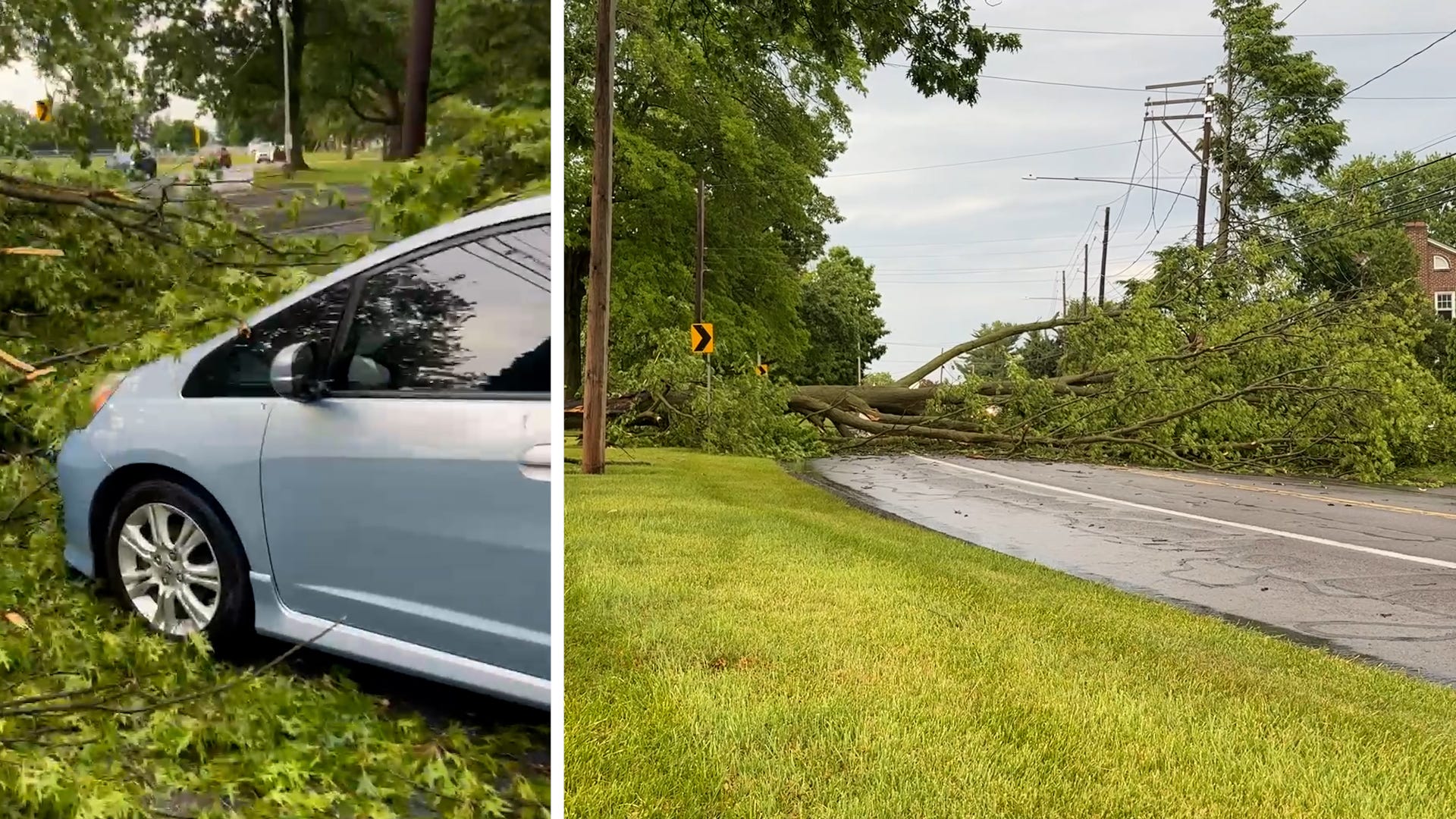 Storm leaves newlyweds with damaged car, blocked road in Lancaster County