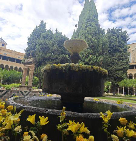 El 'ou com balla' de Pedralbes