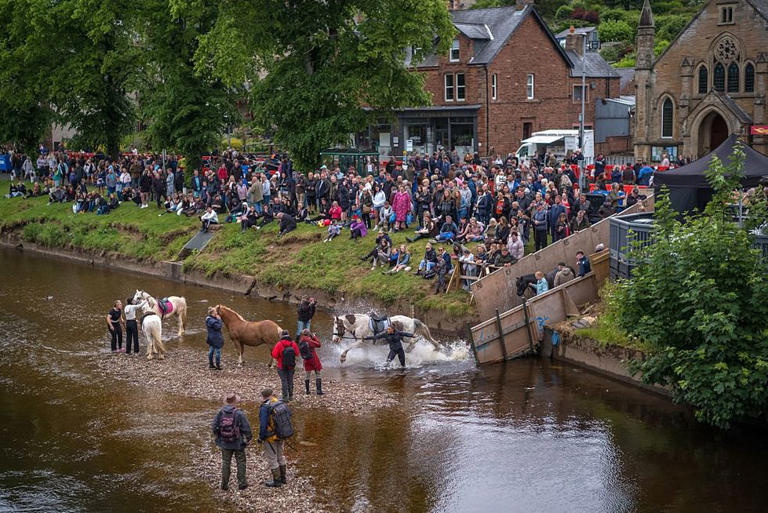 Four arrested near 'traveller takeover' Appleby Horse Fair after police ...